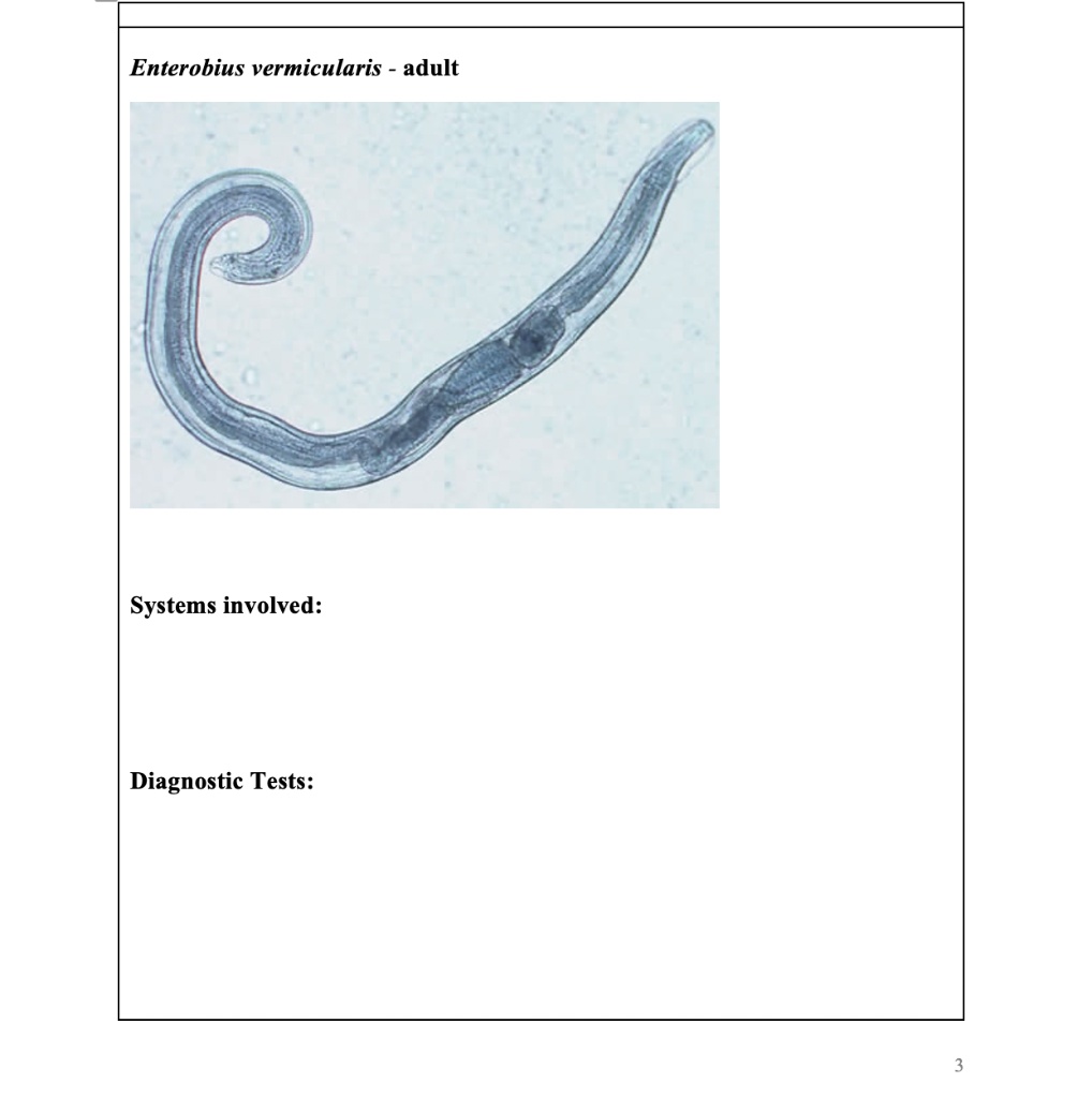 SOLVED: Enterobius vermicularis adult Systems involved: Diagnostic Tests: