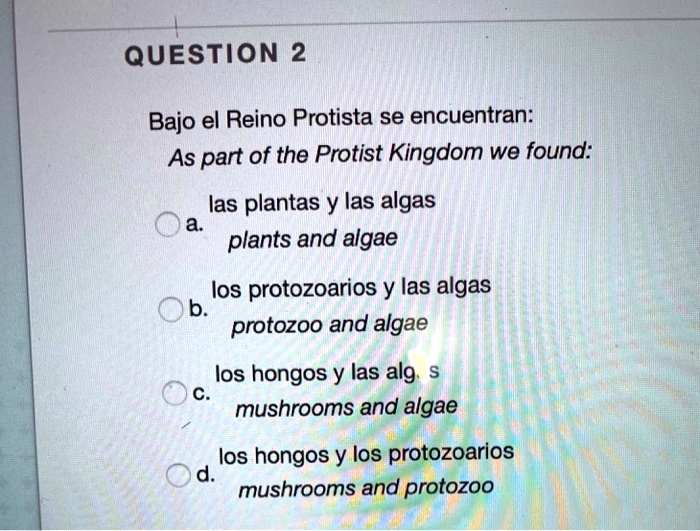 question 2 bajo el reino protista se encuentran as part of the protist ...