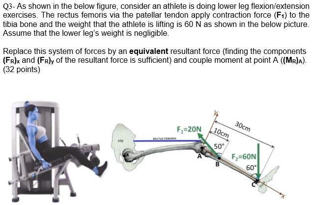 SOLVED: As shown in the below figure consider an athlete is doing lower ...