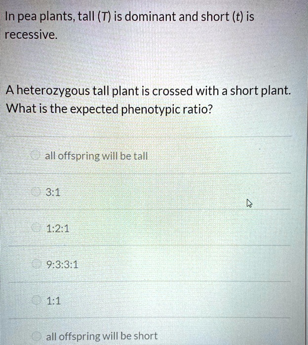 in pea plants tall t is dominant and short t is recessive a ...