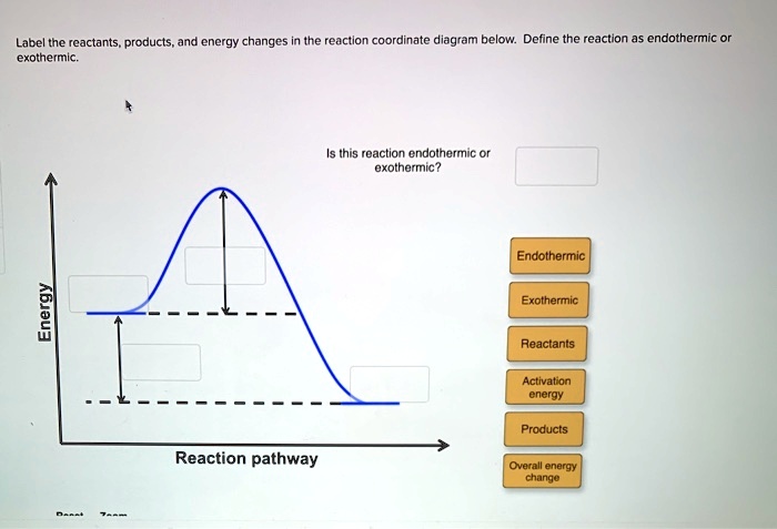 label ine cactants products and energy changes the reactlon coordinate ...