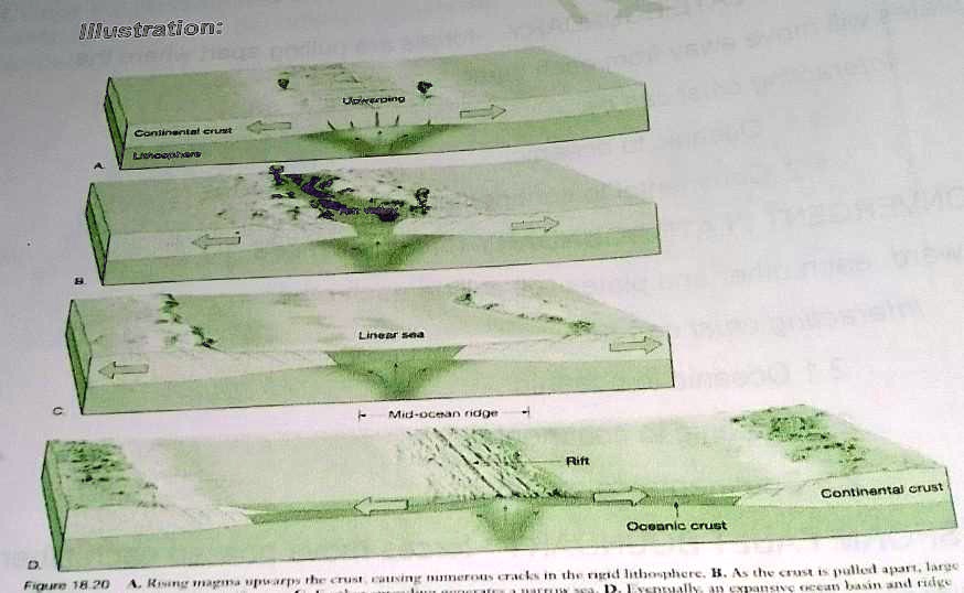 Solved 1 How Do You Describe The Movement Of The Interacting Forces