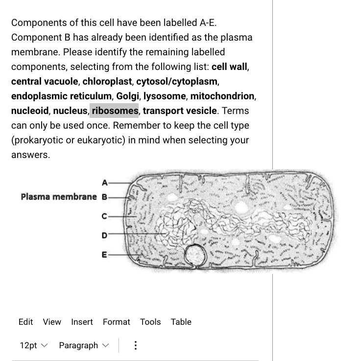 SOLVED: Components of this cell have been labeled A-E. Component B has already been identified ...
