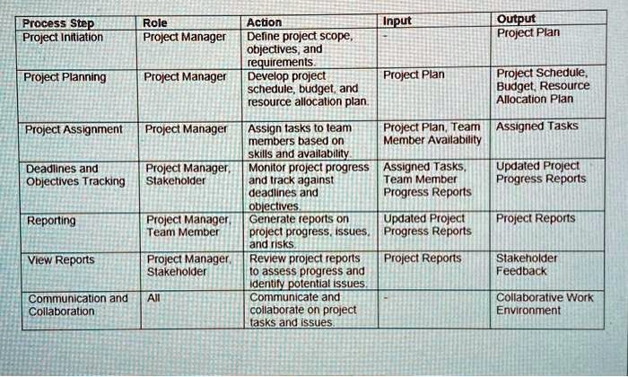 Process Step Role Action Input Output Project Initiation Project ...