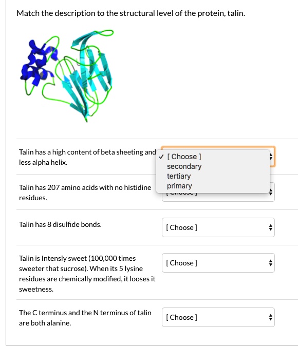 SOLVED: Match the description to the structural level of the protein ...