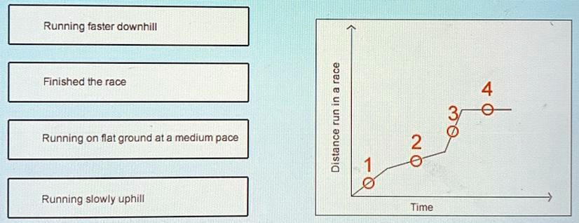 SOLVED: 'The graph shows the distance vs. time for a runner in a road ...