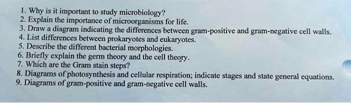 1. Why is it important to study microbiology? 2. Explain the importance ...