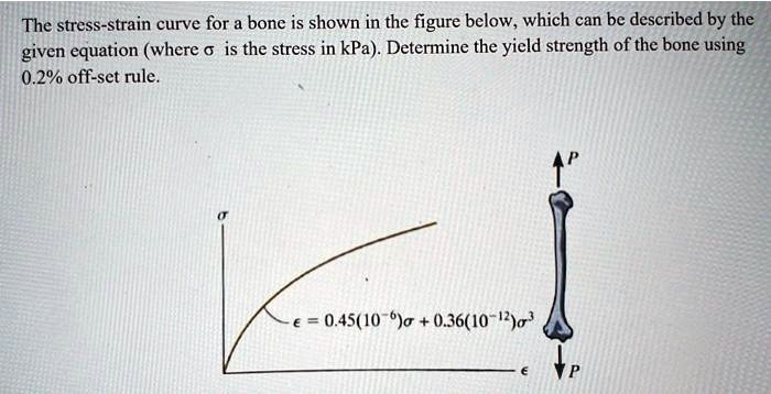 SOLVED: The stress-strain curve for a bone is shown in the figure below ...