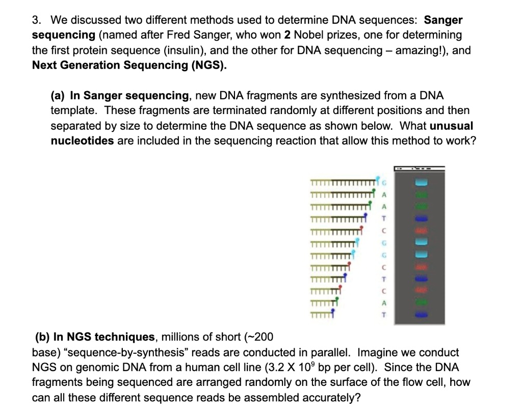 3 we discussed two different methods used to determine dna sequences sanger sequencing named ...