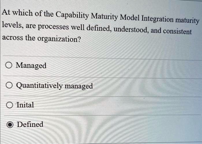At which of the Capability Maturity Model Integration maturity levels ...
