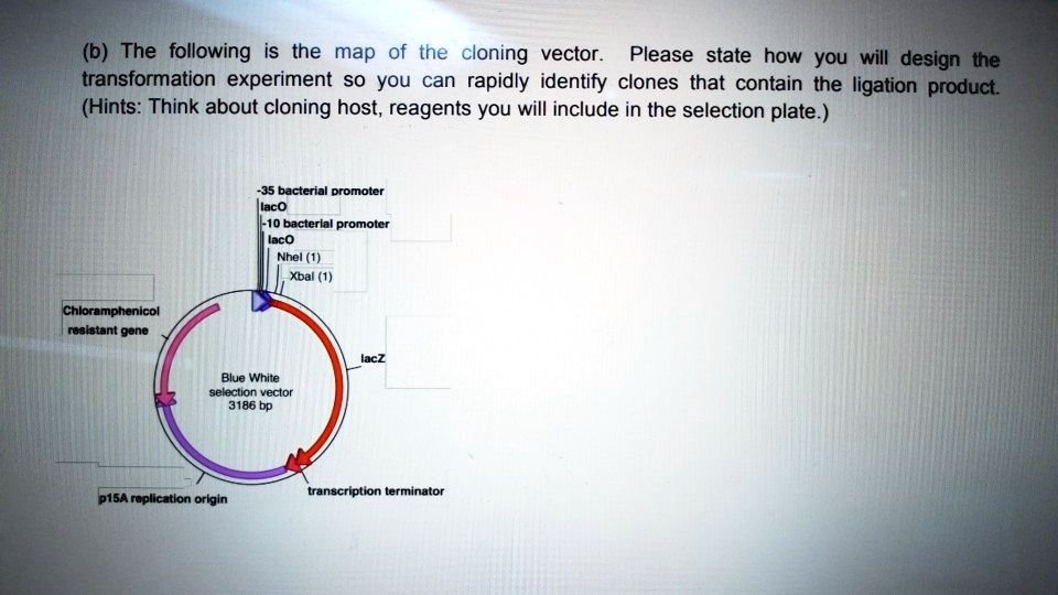(b) The following is the map of the cloning vector. Please state how ...