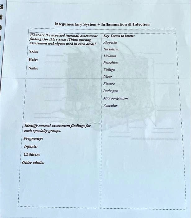 SOLVED: Integumentary System + Inflammation Infection What are the ...