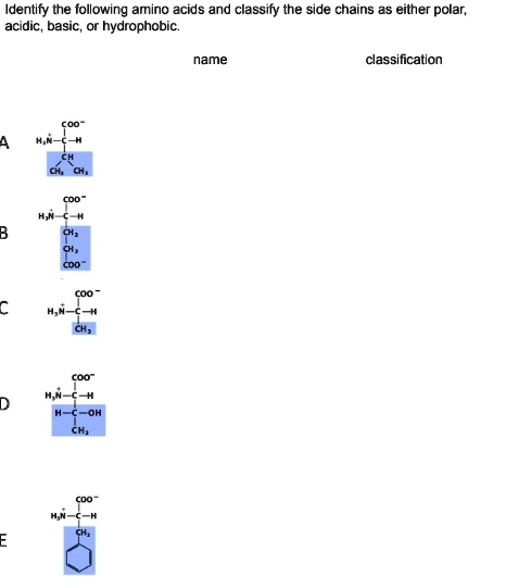 SOLVED: Texts: all or none please Identify the following amino acids and classify the side ...