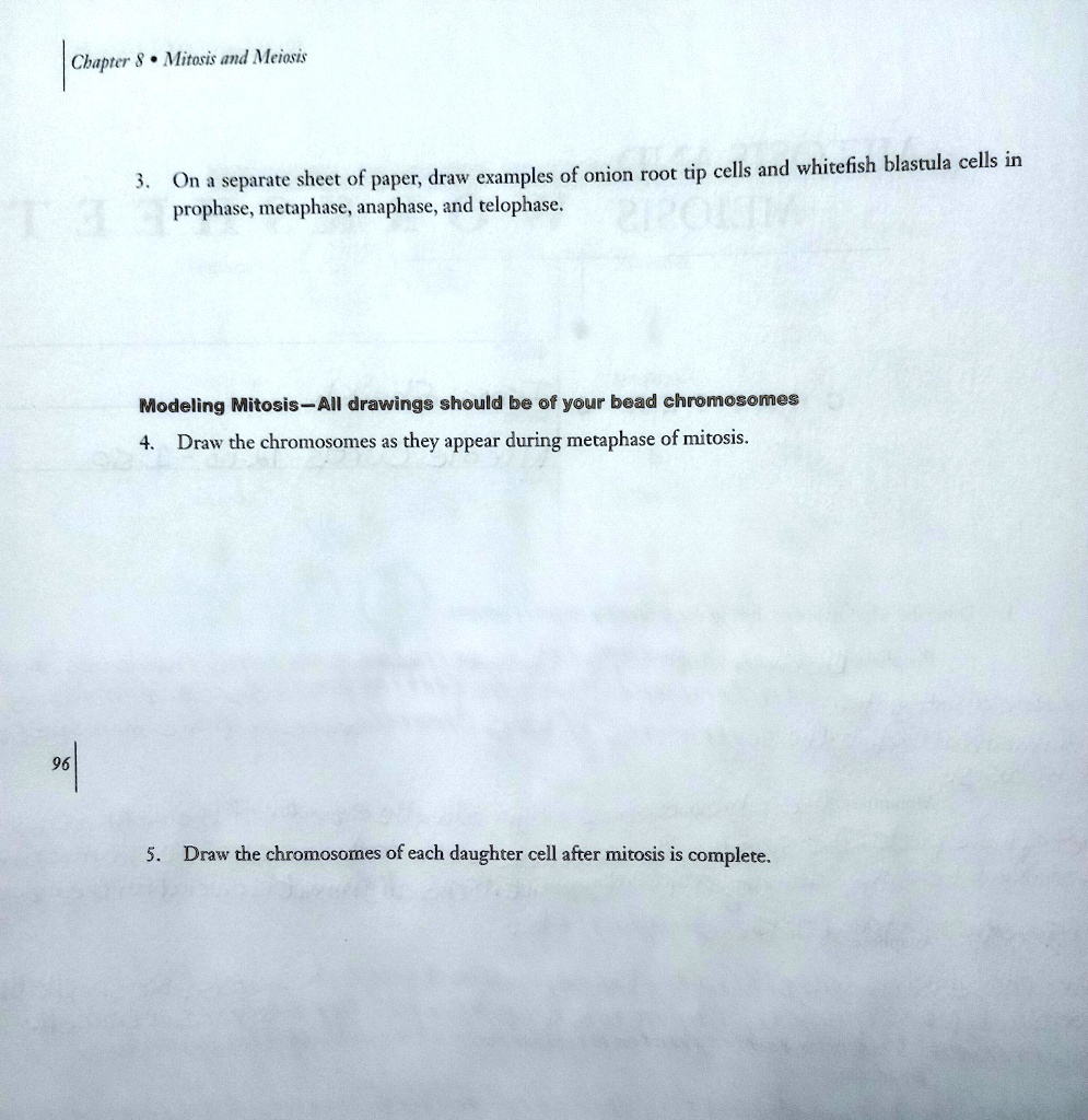 Chapter 8 Mitosis and Meiosis 3. On a separate sheet of paper, draw ...