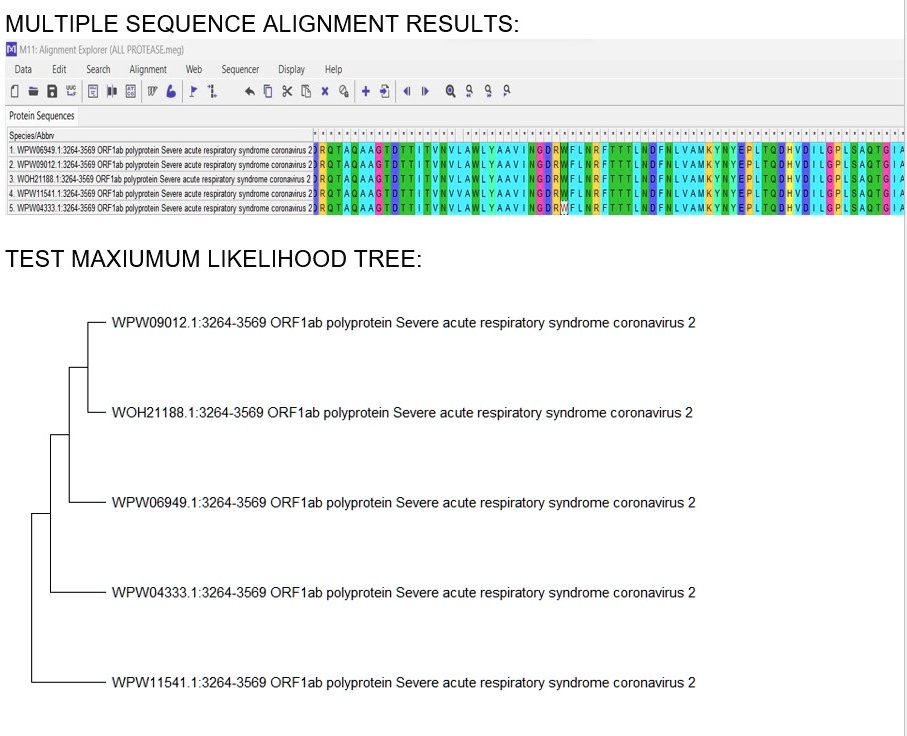 MULTIPLE SEQUENCE ALIGNMENT RESULTS: M11: Alignment Explorer (ALL ...