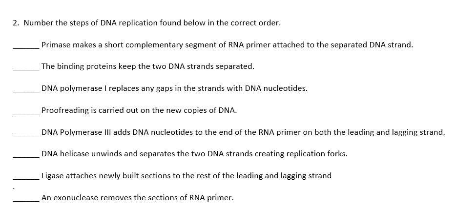 SOLVED: Number the steps of DNA replication found below in the correct ...