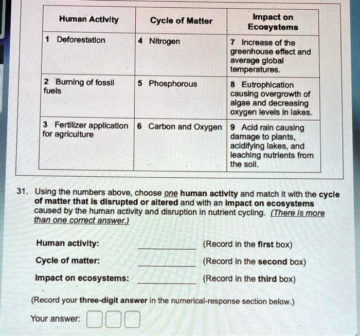 human acttvlty cycle of matter impact on ecoeyetema increasa of the ...