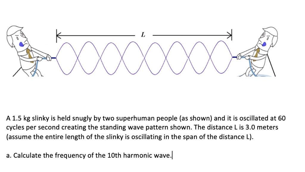 a 15 kg slinky is held snugly by two superhuman people as shown and it ...