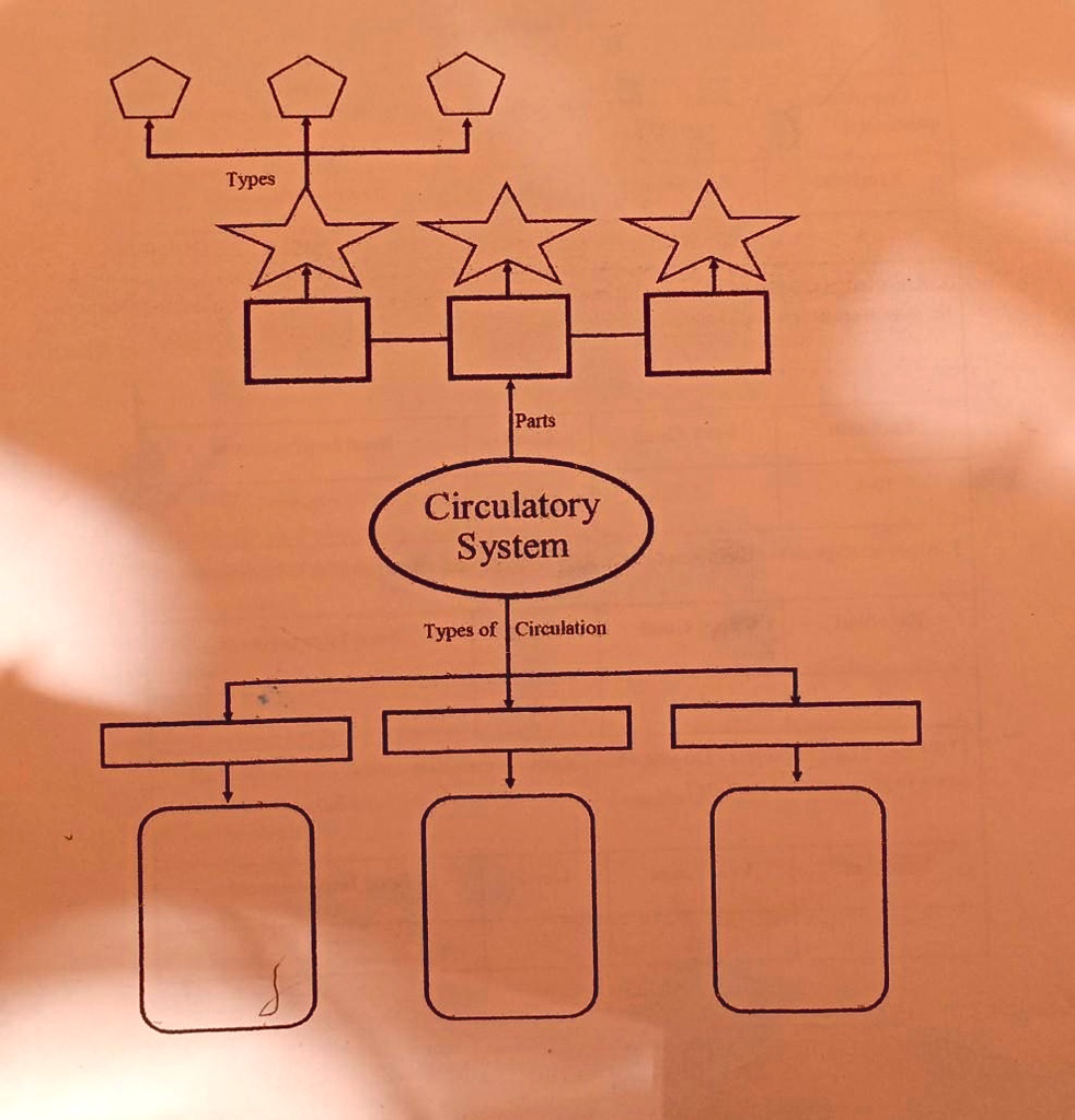 SOLVED: 'Directions: Using the given graphic organizer, fill in the missing parts, description ...