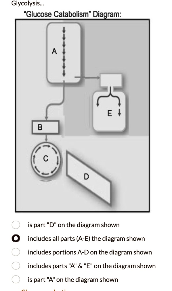 Glycolysis... "Glucose Catabolism" Diagram: is part "D" on the diagram ...