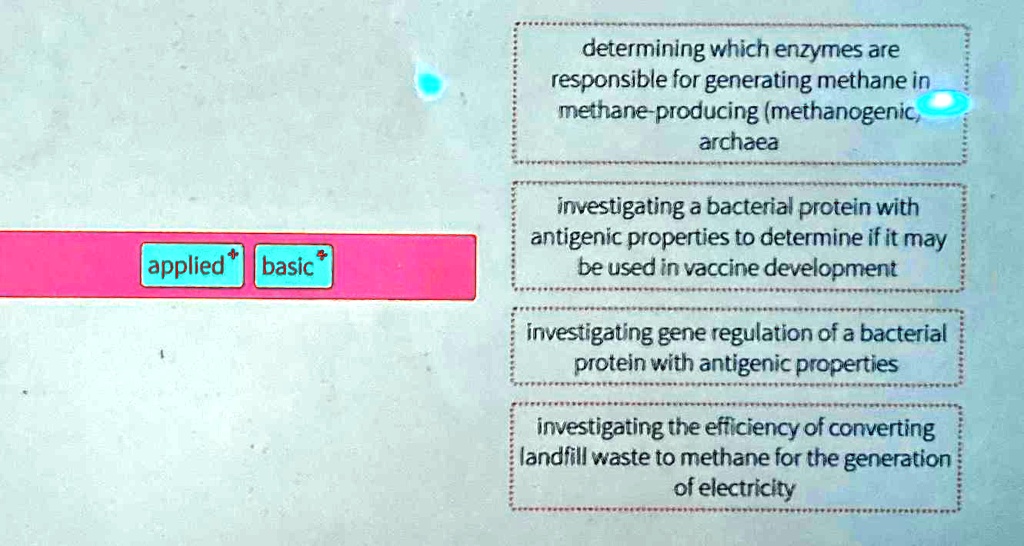 applied basic determining which enzymes are responsible for generating ...