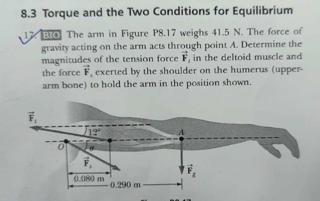 8.3 Torque and the Two Conditions for Equilibrium 17. BIO The arm in ...
