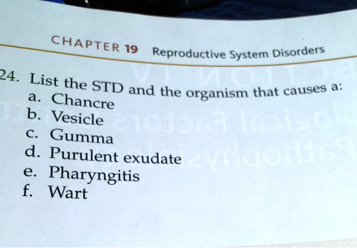 SOLVED: CHAPTER 19 Reproductive System Disorders 24. List a the STD and ...