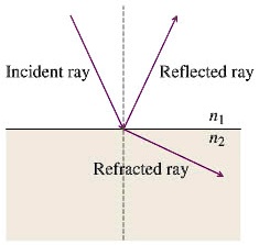 [GET ANSWER] Incident ray Reflected ray n1 n2 Refracted ray