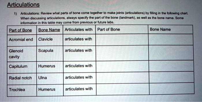 articulations artkculallions rovio what parts of bone come together t0 ...