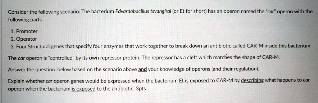 SOLVED:Consider the following scenario: The bacterium Edvardobacillus ...