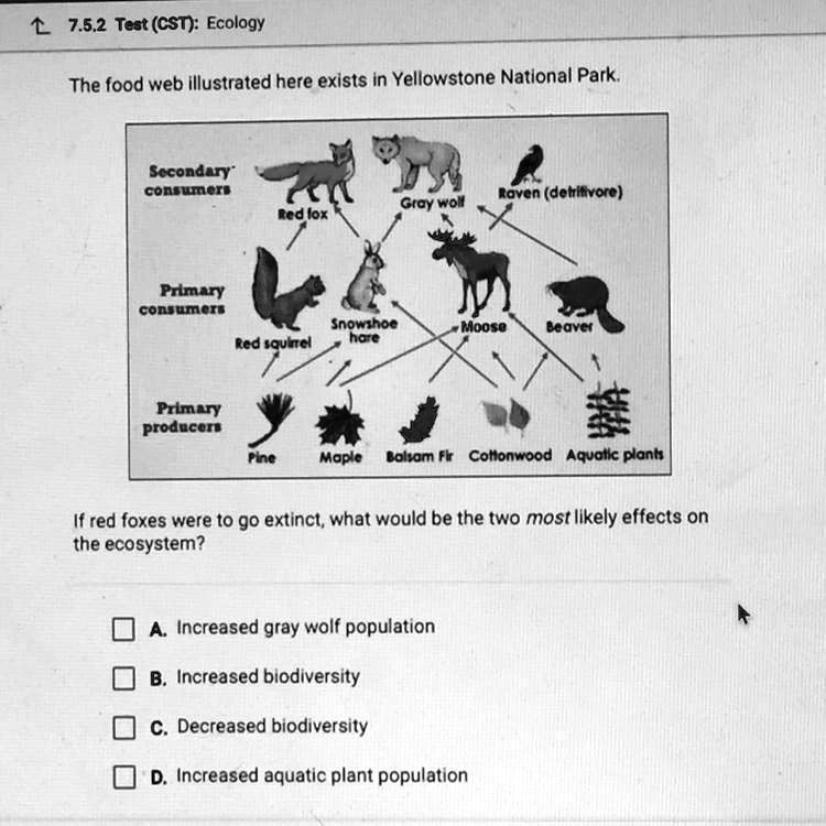 ?7.5.2 Test (CST): Ecology The food web illustrated here exists in ...
