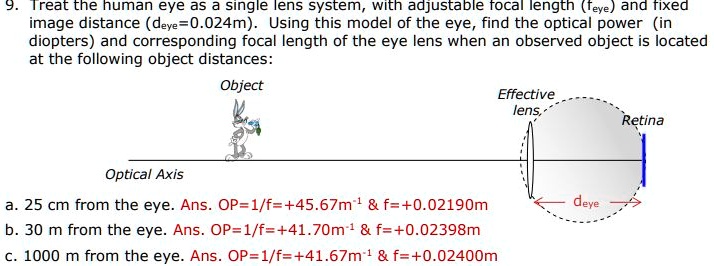 treat the human eye as a single lens system with adjustable tocal ...