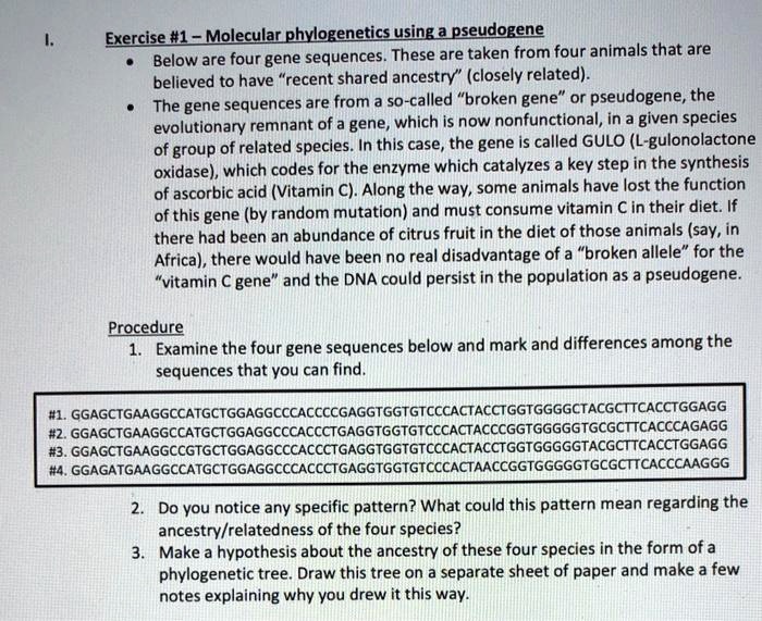SOLVED: Exercise #1 Molecular phylogenetics using a pseudogene Below are four gene sequences ...