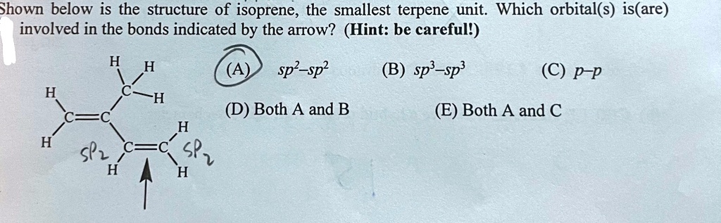 SOLVED: hown below is the structure of isoprene, the smallest terpene ...