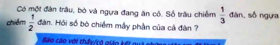 Có Má™t đà N Trâu Bò Và Ngá±a Ä‘ang ăn Cá Sá‘ Trâu Chiếm