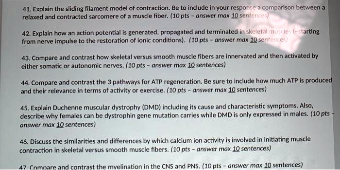 SOLVED: 41. Explain the sliding filament model of contraction. Be sure to include in your ...