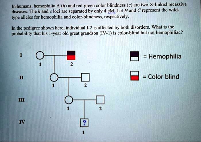 in humans hemophilia a h and red grecn color blindness c are two x ...