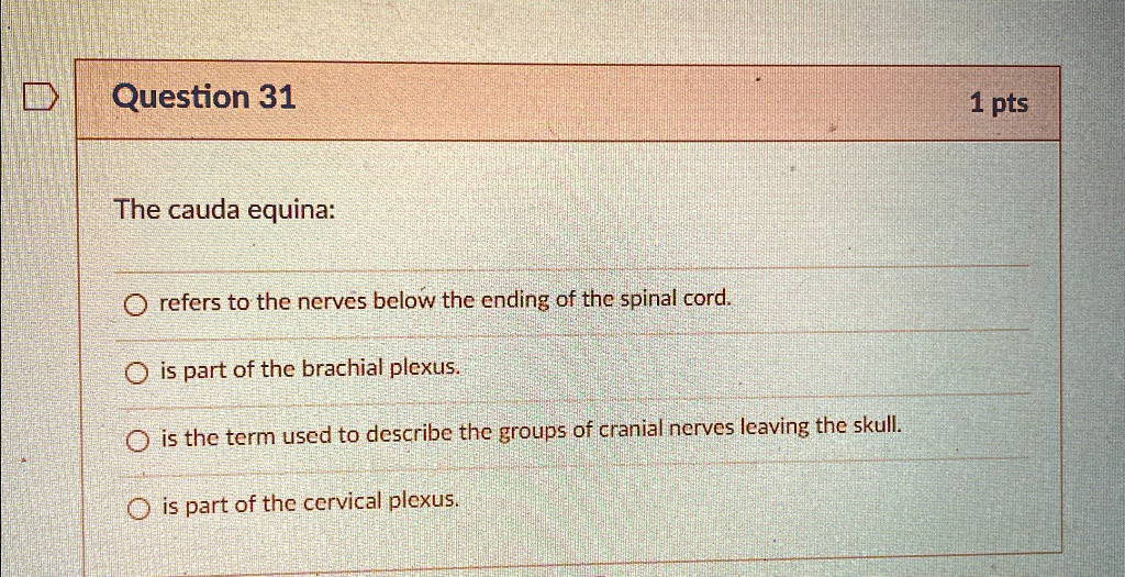 Question 31 The cauda equina: ? refers to the nerves below the ending ...