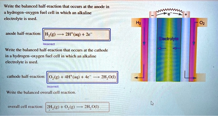 Write the balanced half-reaction that occurs at the anode in a hydrogen-oxygen fuel cell in ...