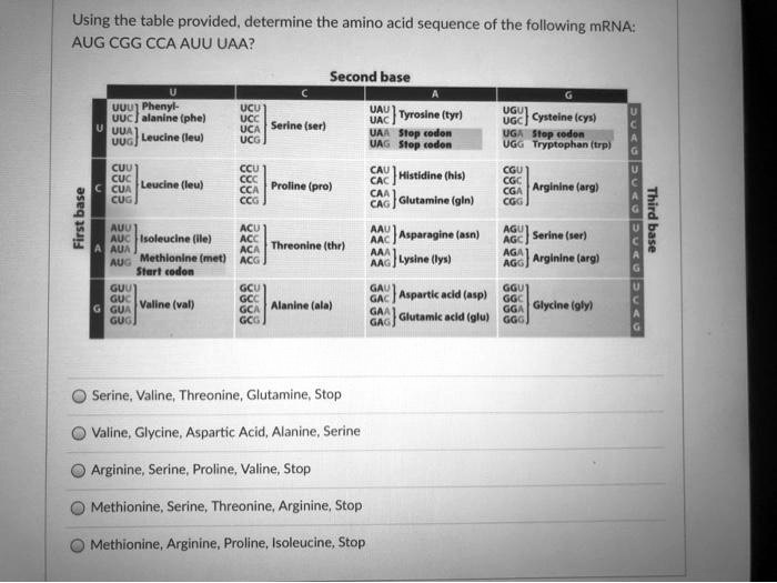 SOLVED: Using the table provided, determine the amino acid sequence of ...