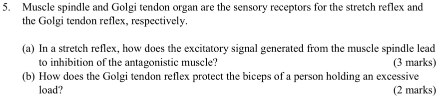 SOLVED: 5. Muscle spindle and Golgi tendon organ are the sensory ...