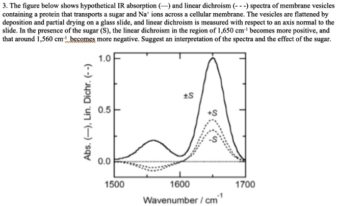 SOLVED: The figure below shows hypothetical IR absorption and linear ...