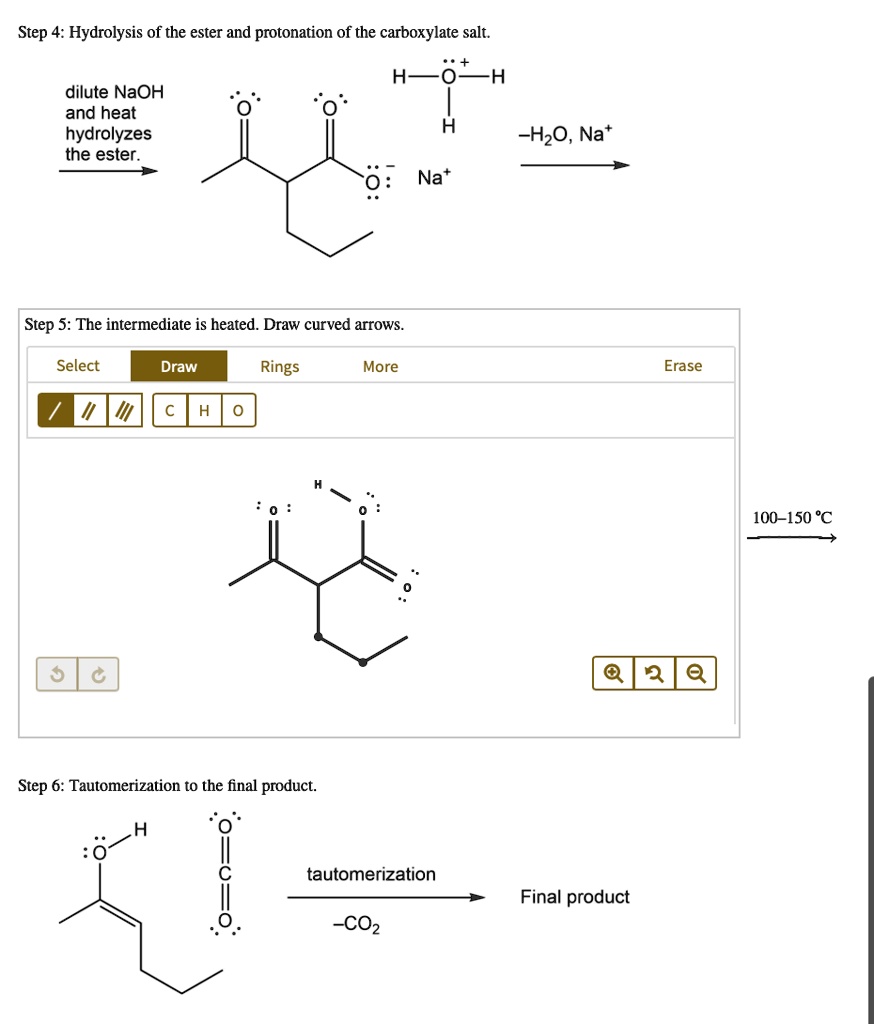 Step 4 hydrolysis of the ester and protonation of the...