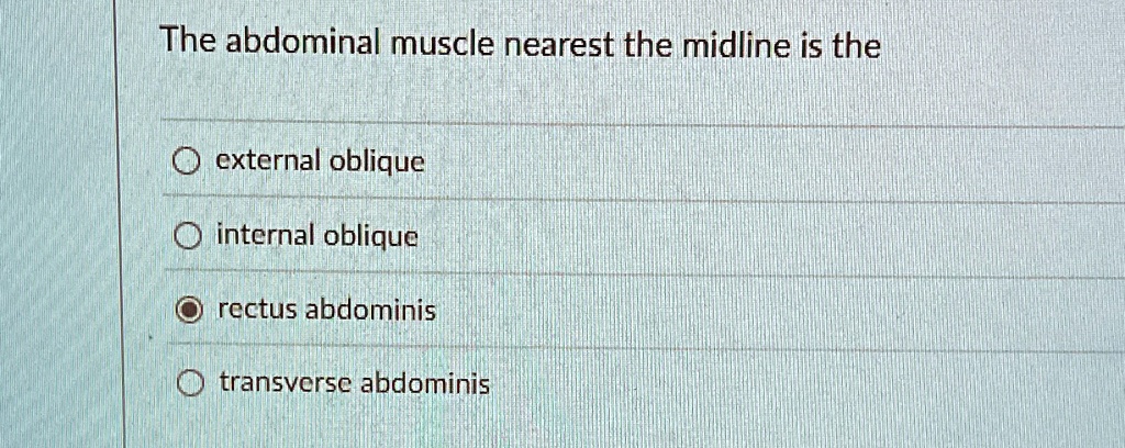 The abdominal muscle nearest the midline is the external oblique ...