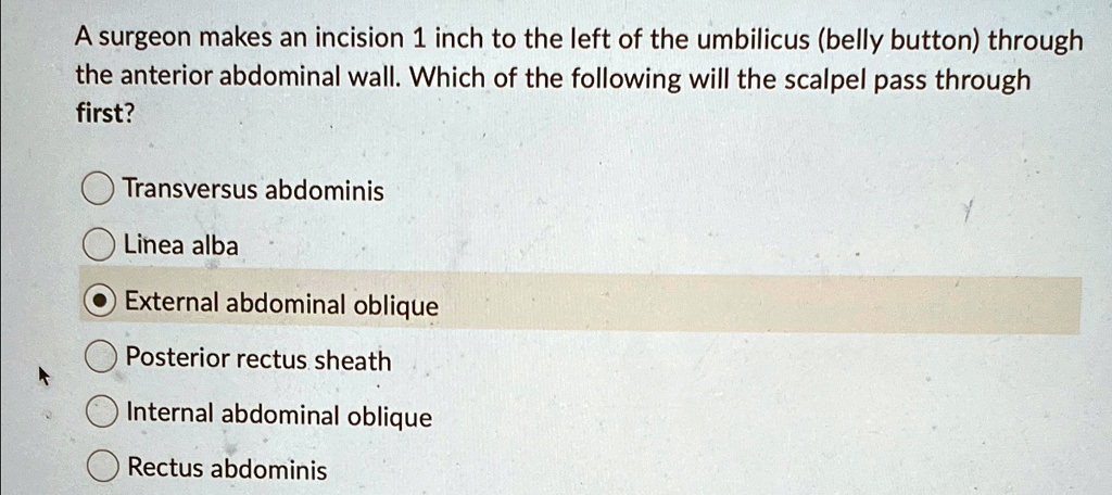 SOLVED: A surgeon makes an incision 1 inch to the left of the umbilicus ...