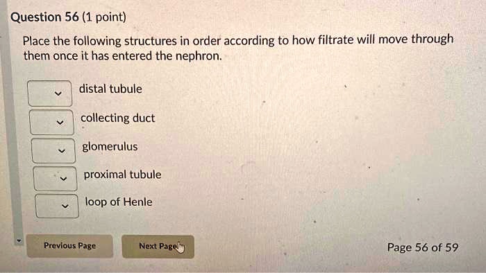 SOLVED: Question 56 (1 point) Place the following structures in order according to how filtrate ...