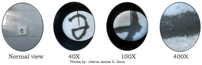 Normal view 40X 100X 400X Photos by: Jherra Jenica G. Gomo