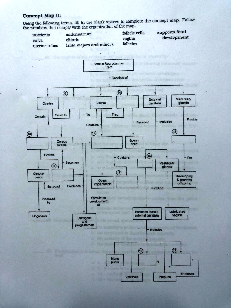 SOLVED: Concept Map II Using the following terms, fill in the blank spaces to complete the ...