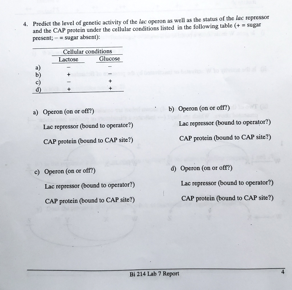 4. Predict the level of genetic activity of the lac operon as well as ...