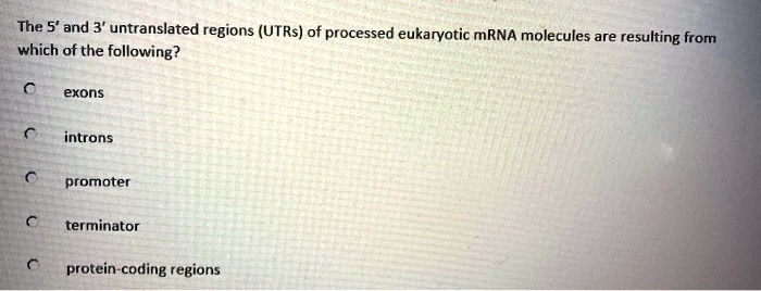 The 5 and 3' untranslated regions (UTRs) of processed eukaryotic mRNA ...